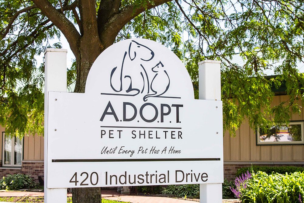 Available Animals » A.D.O.P.T. Pet Shelter